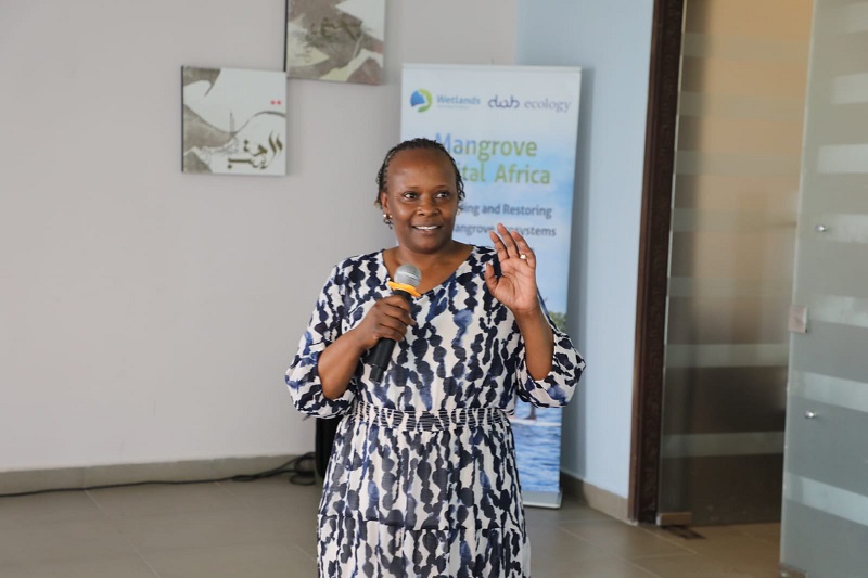 Expert advice on mangrove restoration - MESHA